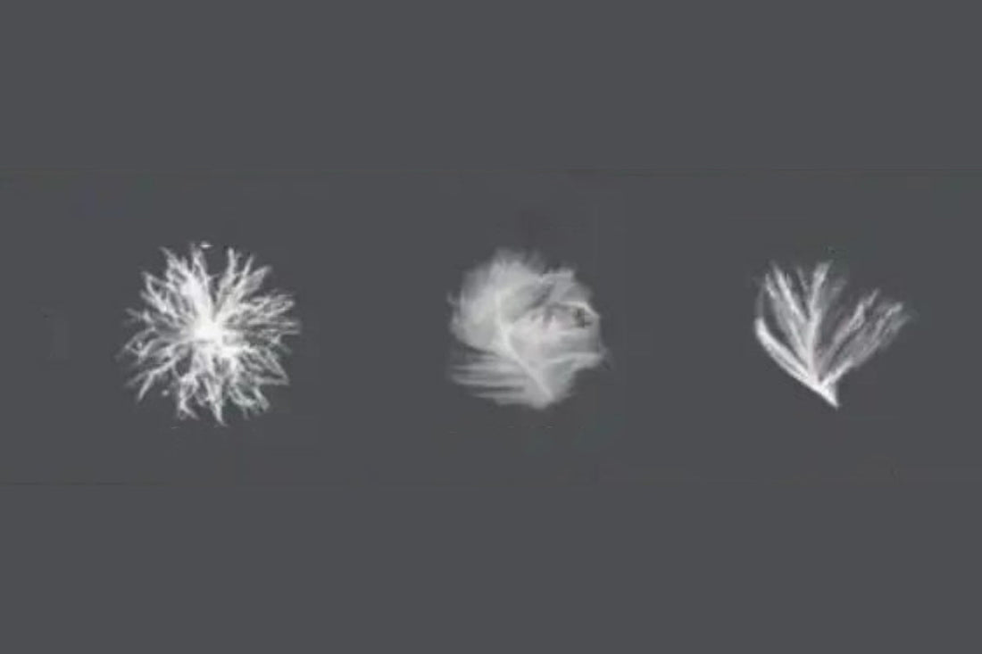 Down vs. Fiberfill vs. Feather Fiber: The Ultimate Comparison Guide fo