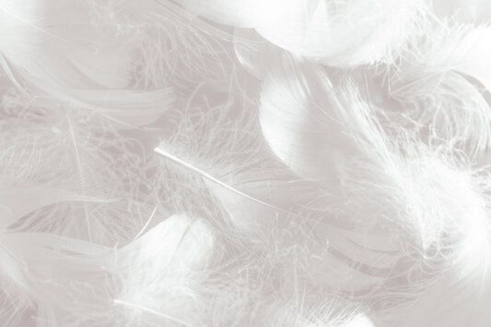 Down Duvet vs. Feather Duvet: What's the Difference?