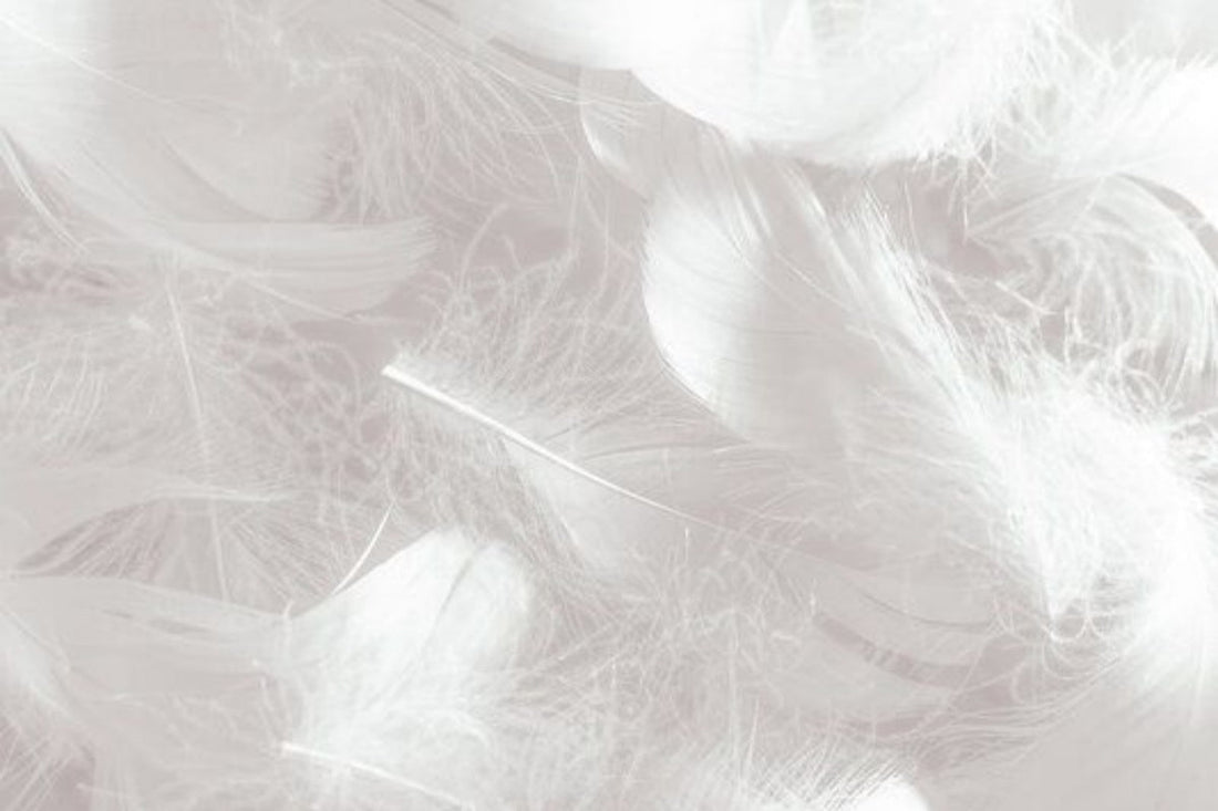 Down Duvet vs. Feather Duvet: What's the Difference?